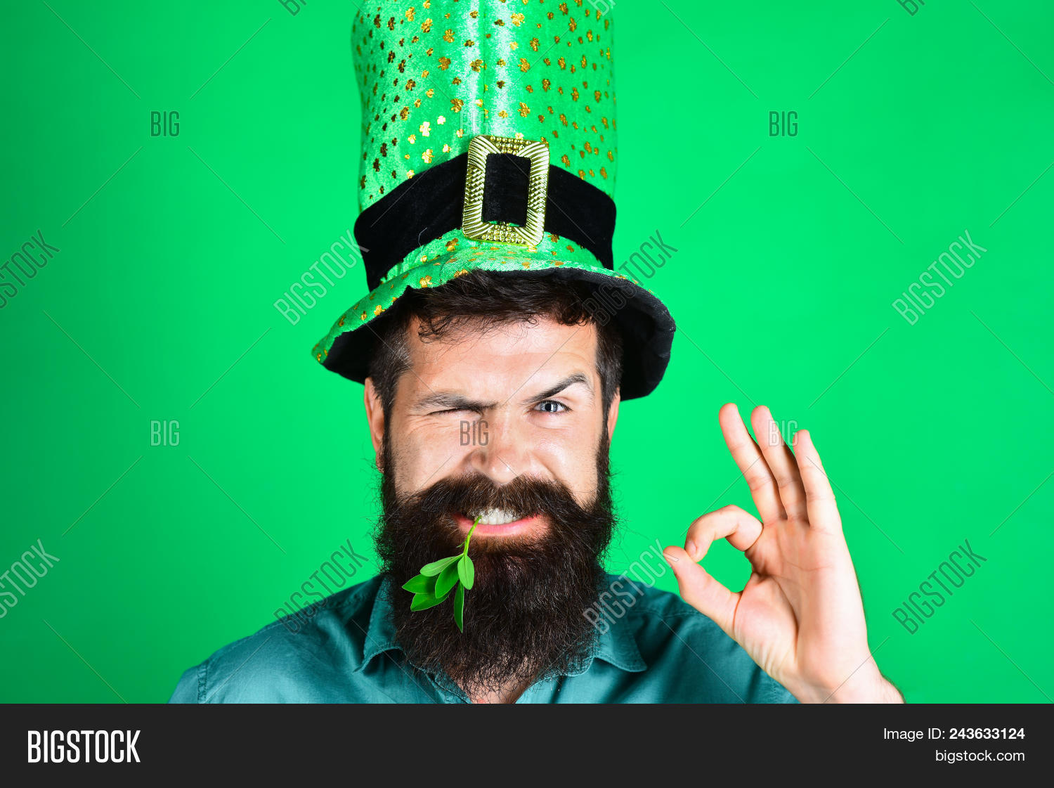 St Patrick's Day. Image & Photo (Free Trial) | Bigstock