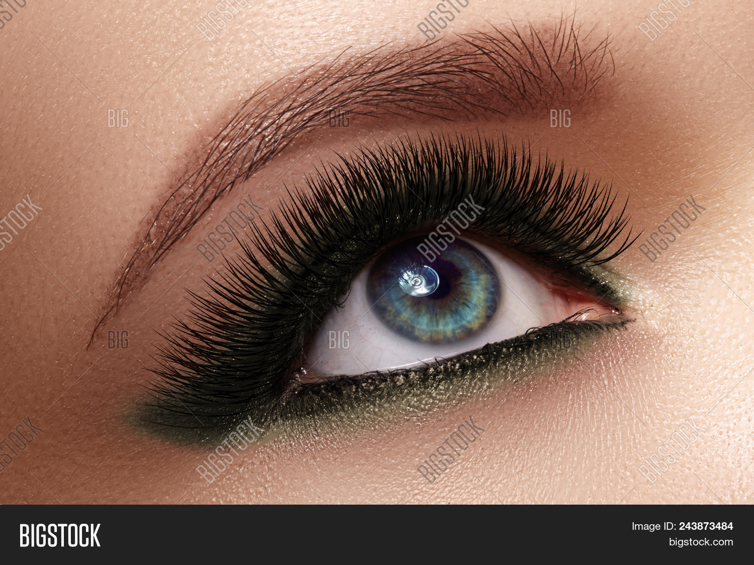 Beautiful Macro Shot Image & Photo (Free Trial) | Bigstock