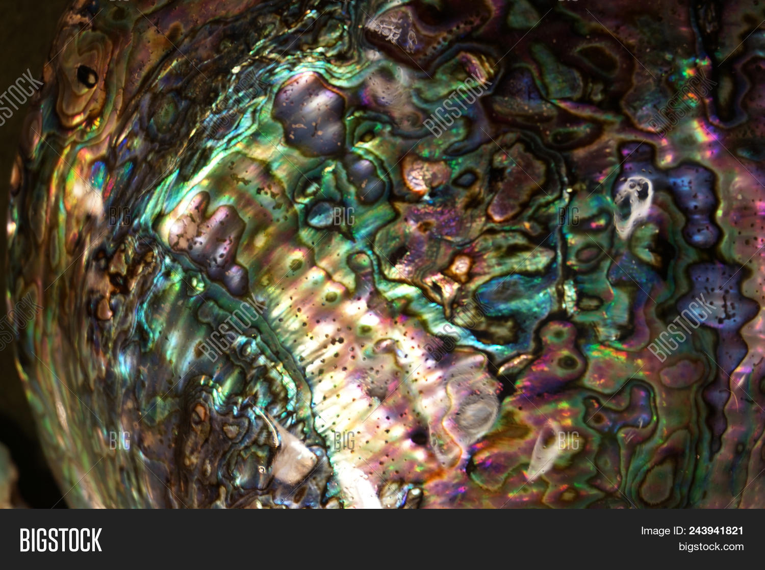 Natural Pearl Texture Image & Photo (Free Trial) | Bigstock