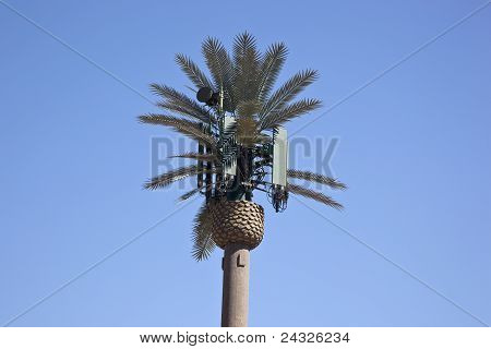 Cell Tower Palm Tree Image & Photo (Free Trial) | Bigstock