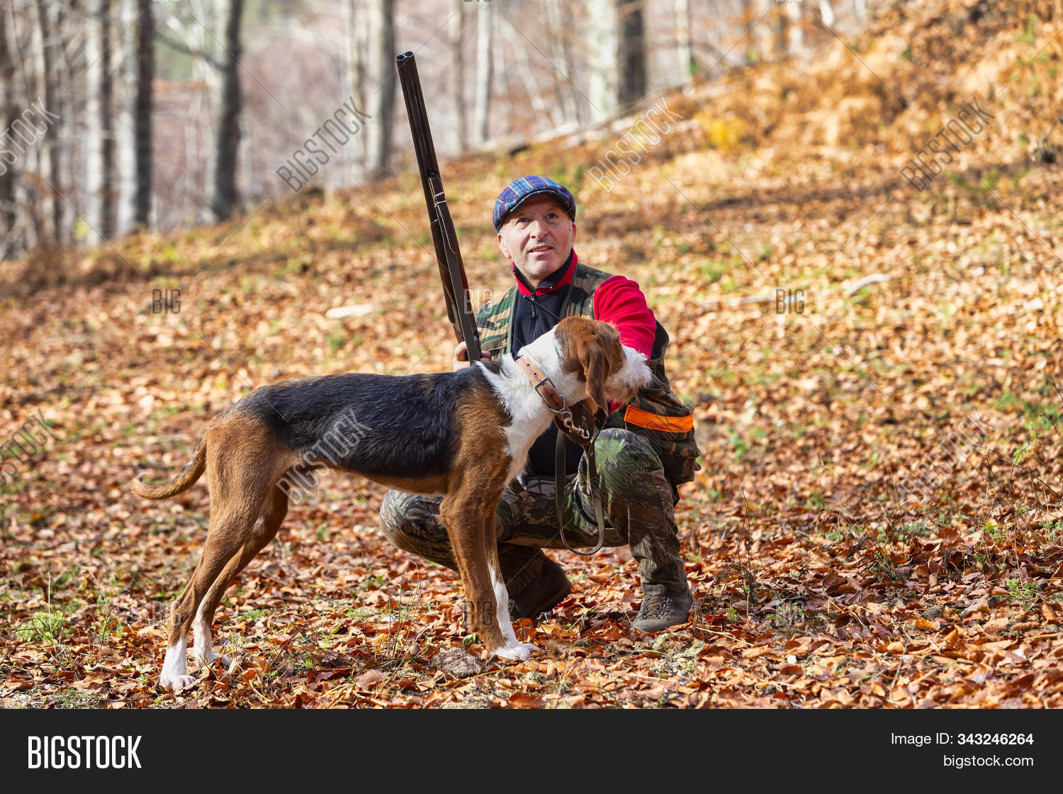 Hunter Hunting Dog Image & Photo (Free Trial) | Bigstock