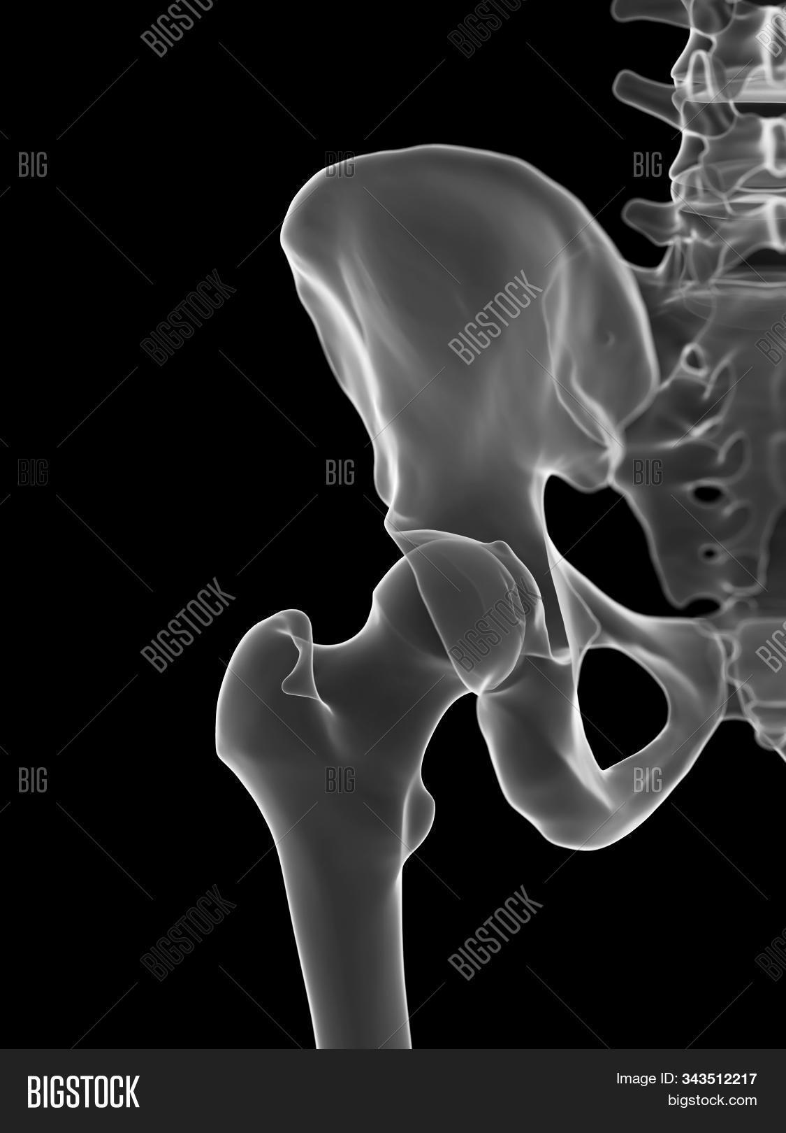 3d Rendered Medically Image & Photo (Free Trial) | Bigstock