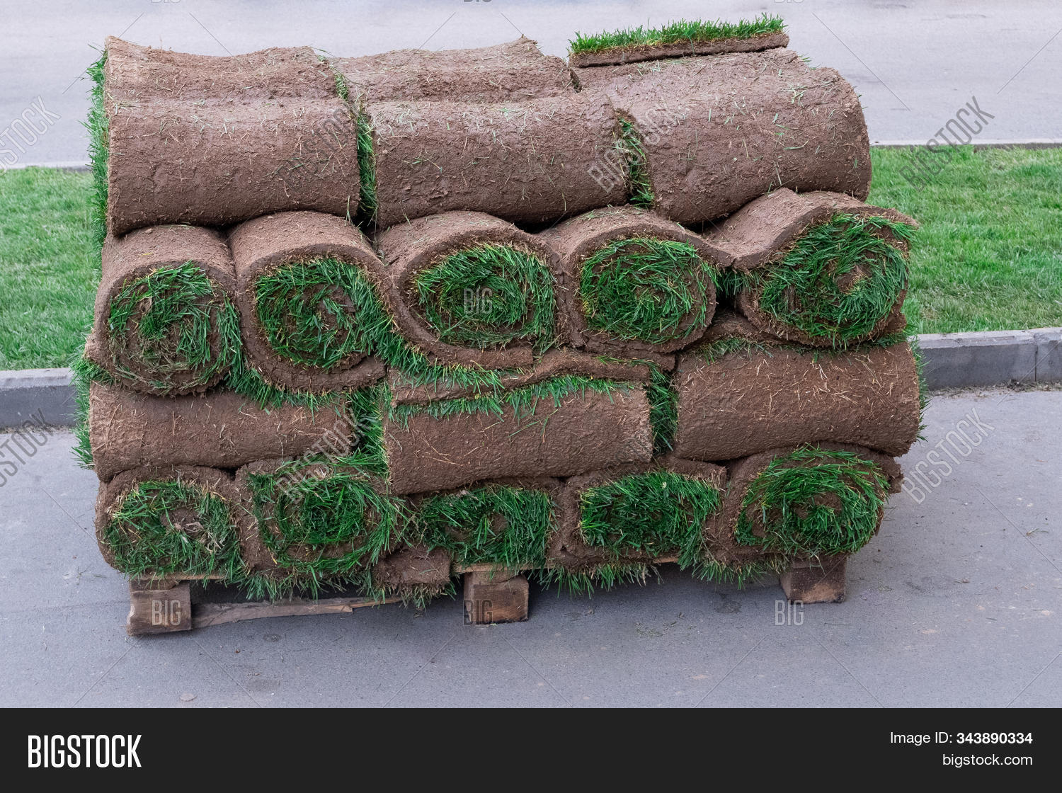 Rolls Natural Lawn Image & Photo (Free Trial) | Bigstock