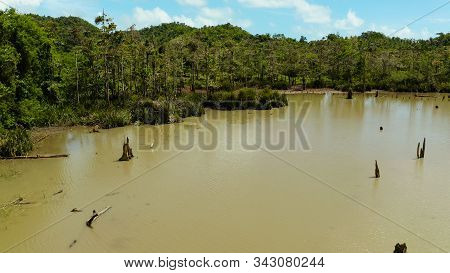 Pond Swamp Jungles Image & Photo (Free Trial) | Bigstock
