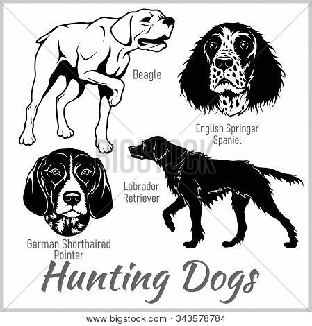 Hunting Dogs Vector & Photo (Free Trial) | Bigstock
