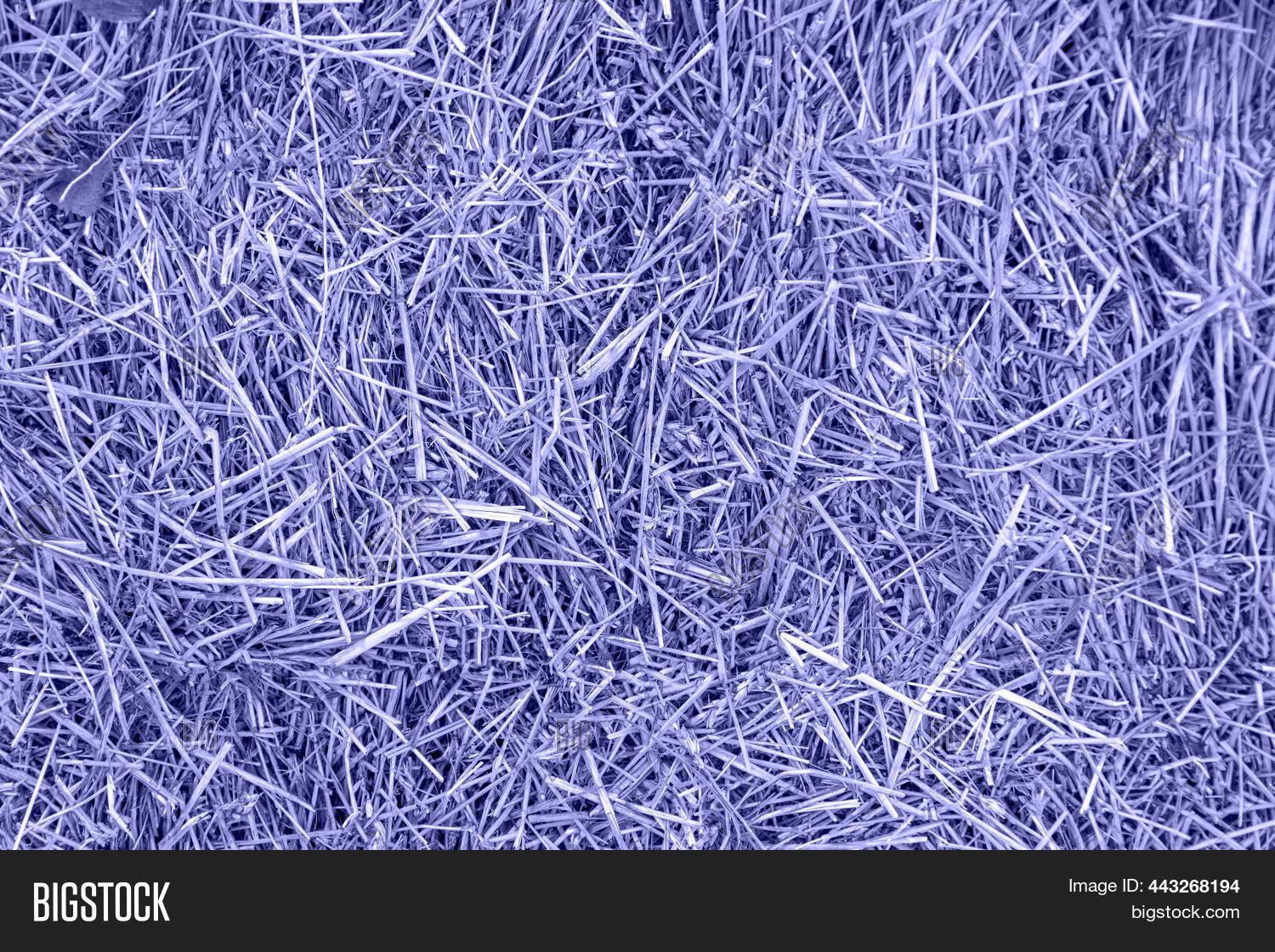 Hay Texture Tinted Image & Photo (Free Trial) | Bigstock