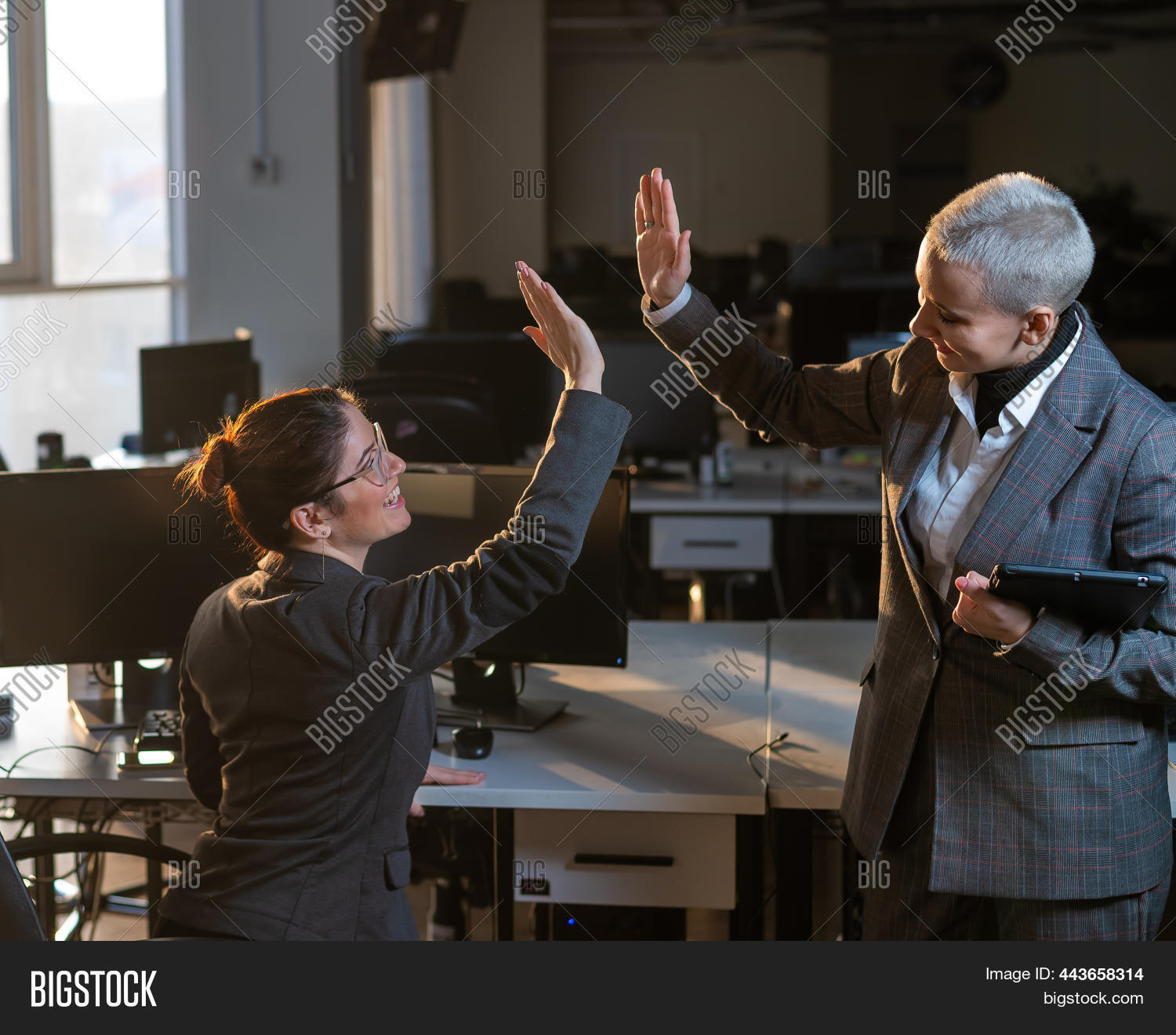 Two Business Women Image & Photo (Free Trial) | Bigstock