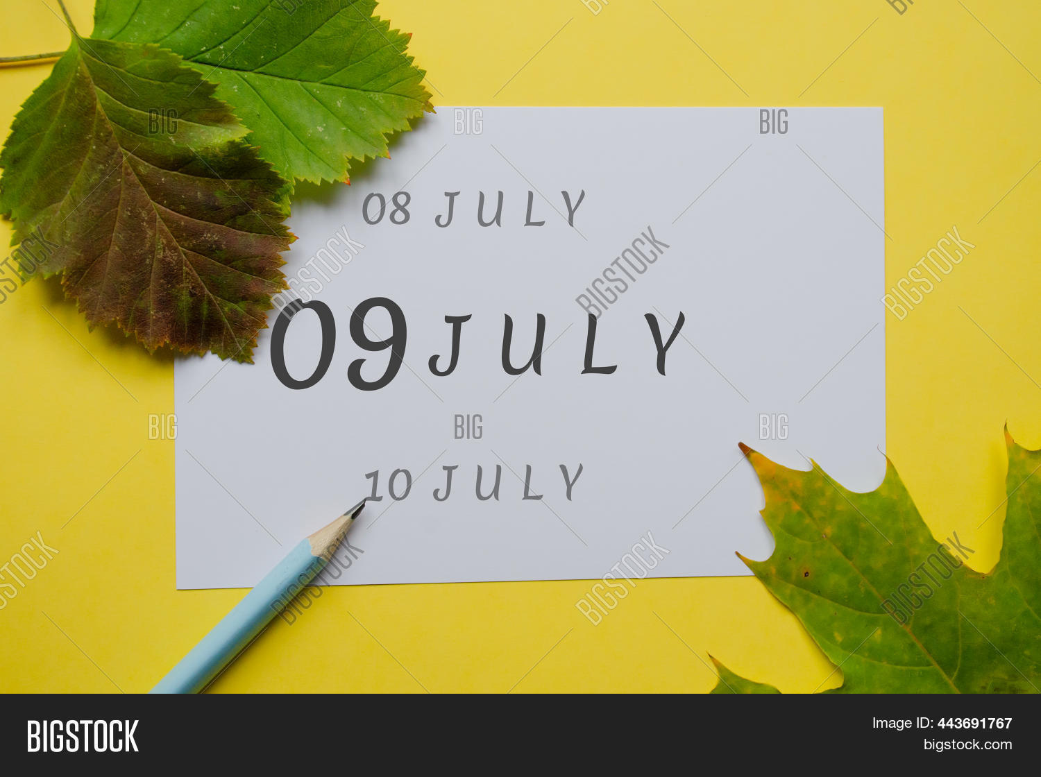 9 July Day Month On Image & Photo (Free Trial) | Bigstock