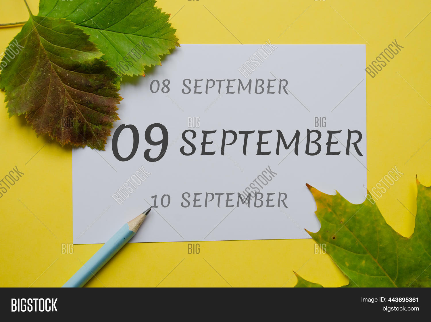 9 September Day Month Image & Photo (Free Trial) | Bigstock