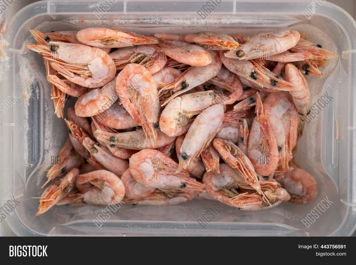 Frozen Shrimp Fridge Image & Photo (Free Trial) | Bigstock