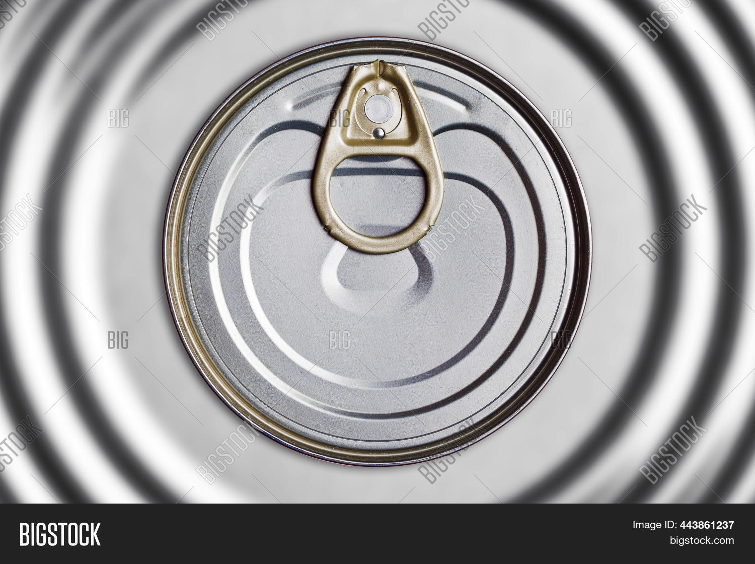 Metal Food Can. Sealed Image & Photo (Free Trial) | Bigstock