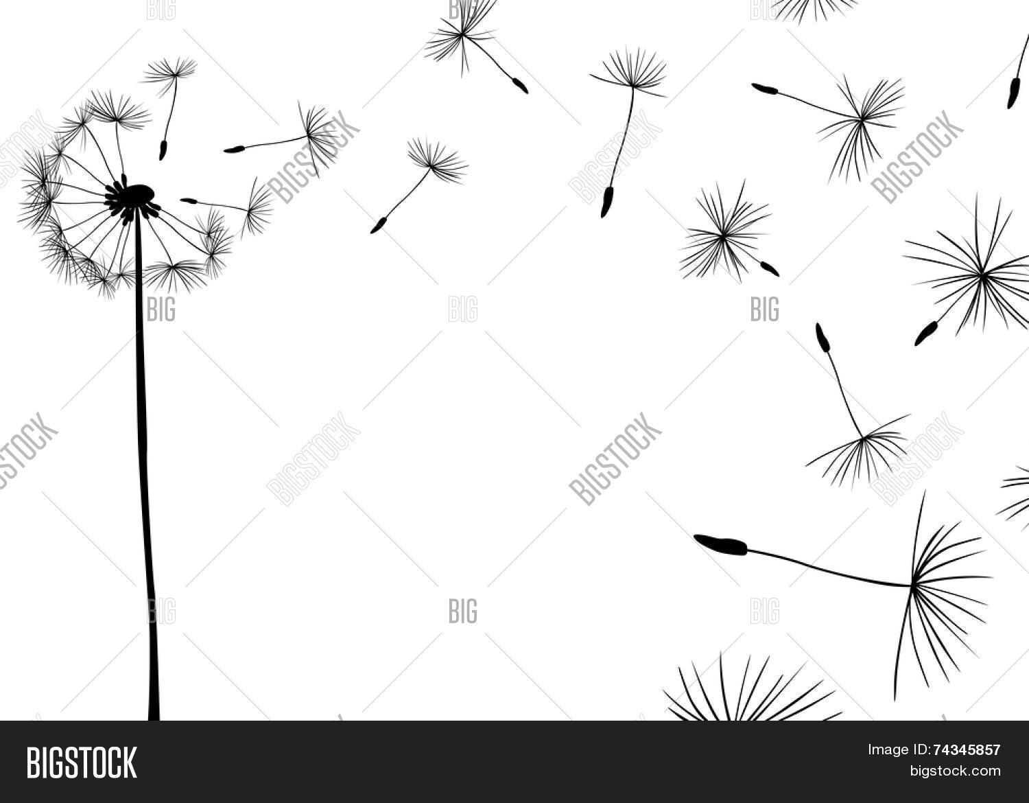 Dandelions Flying Vector & Photo (Free Trial) | Bigstock