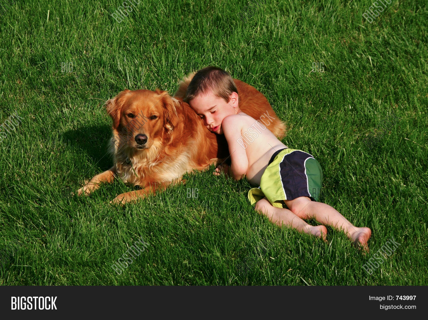 Boy Sleeping On Dog Image & Photo (Free Trial) | Bigstock