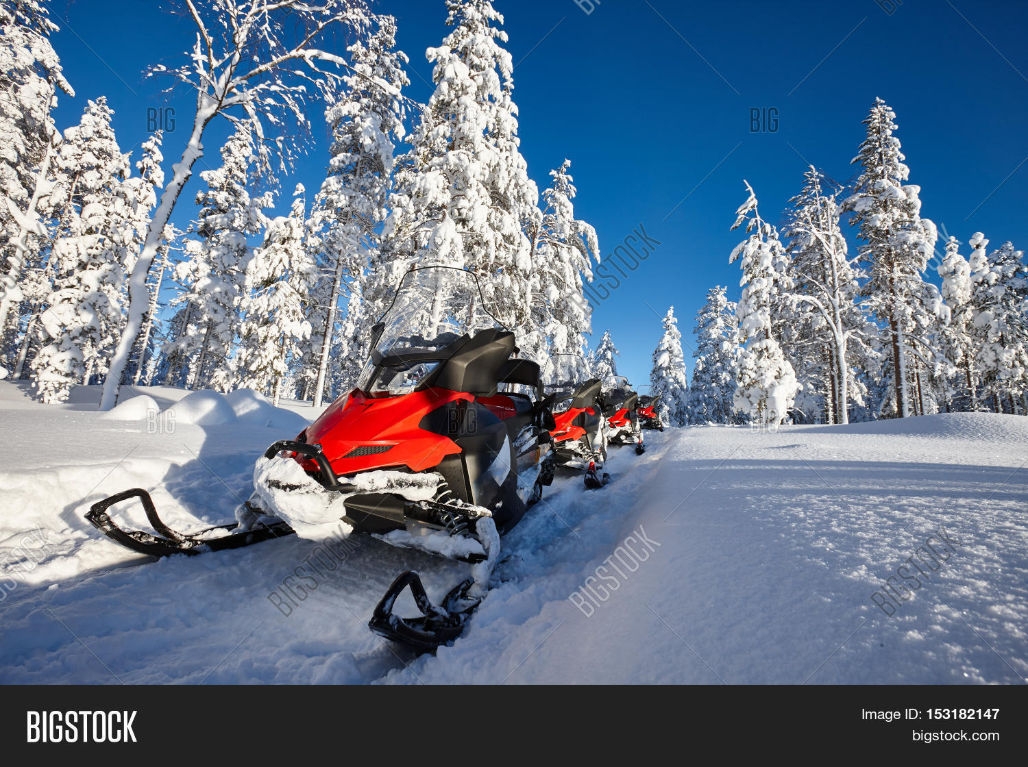 Group Red Snowmobiles Image & Photo (Free Trial) | Bigstock