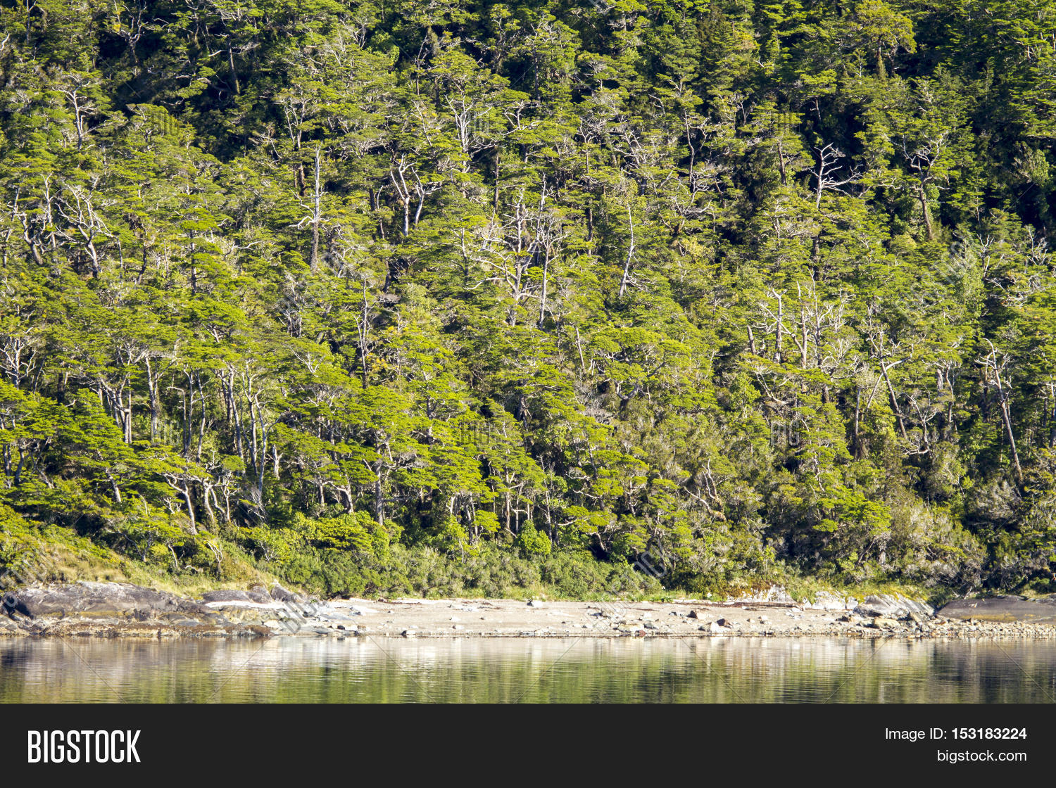 South America - Image & Photo (Free Trial) | Bigstock