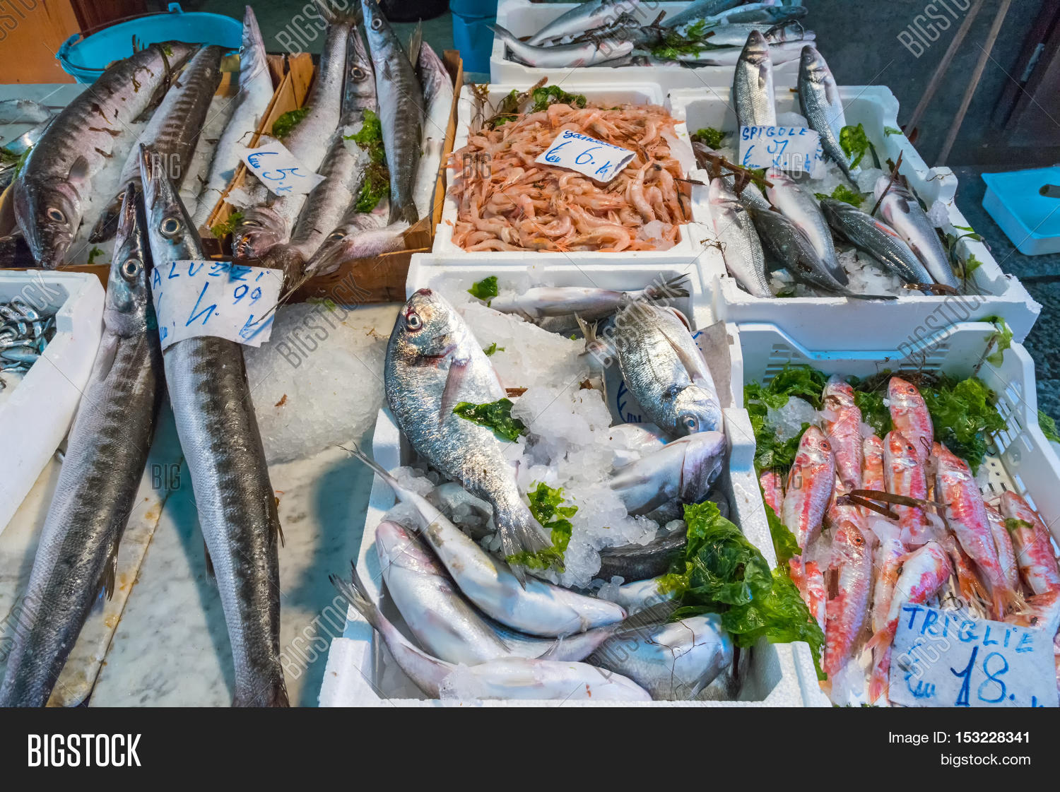 Market Stand Fish Image & Photo (Free Trial) | Bigstock