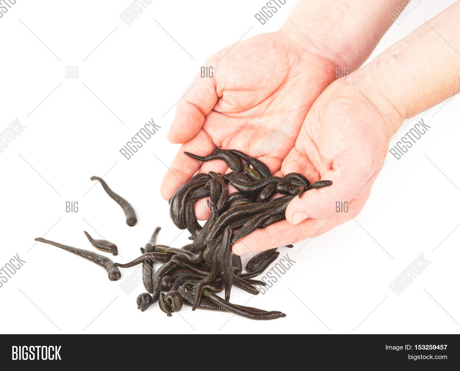 Leeches Hands Image & Photo (Free Trial) | Bigstock
