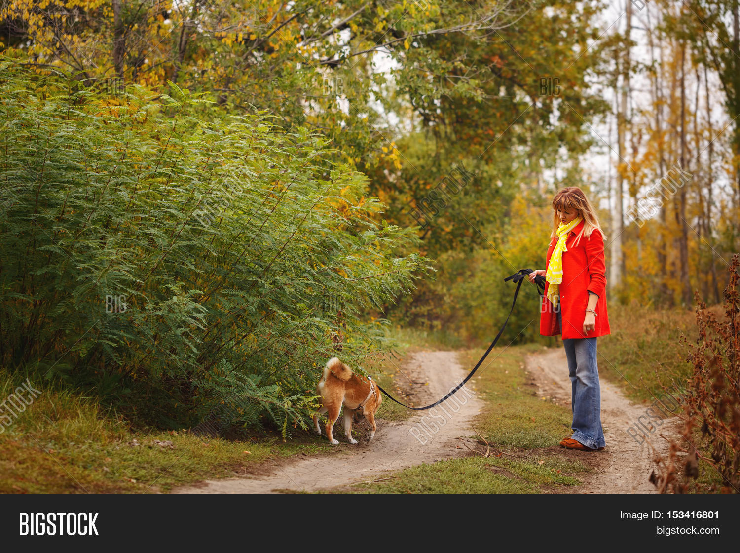 Cute Girl Walking Dog Image & Photo (Free Trial) | Bigstock