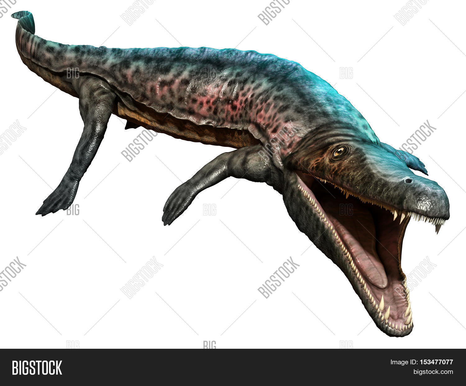Archegosaurus Permian Image & Photo (Free Trial) | Bigstock