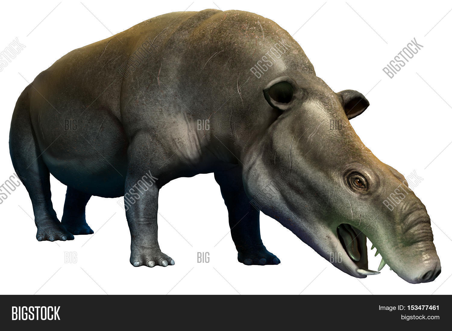Moeritherium Eocene Image & Photo (Free Trial) | Bigstock