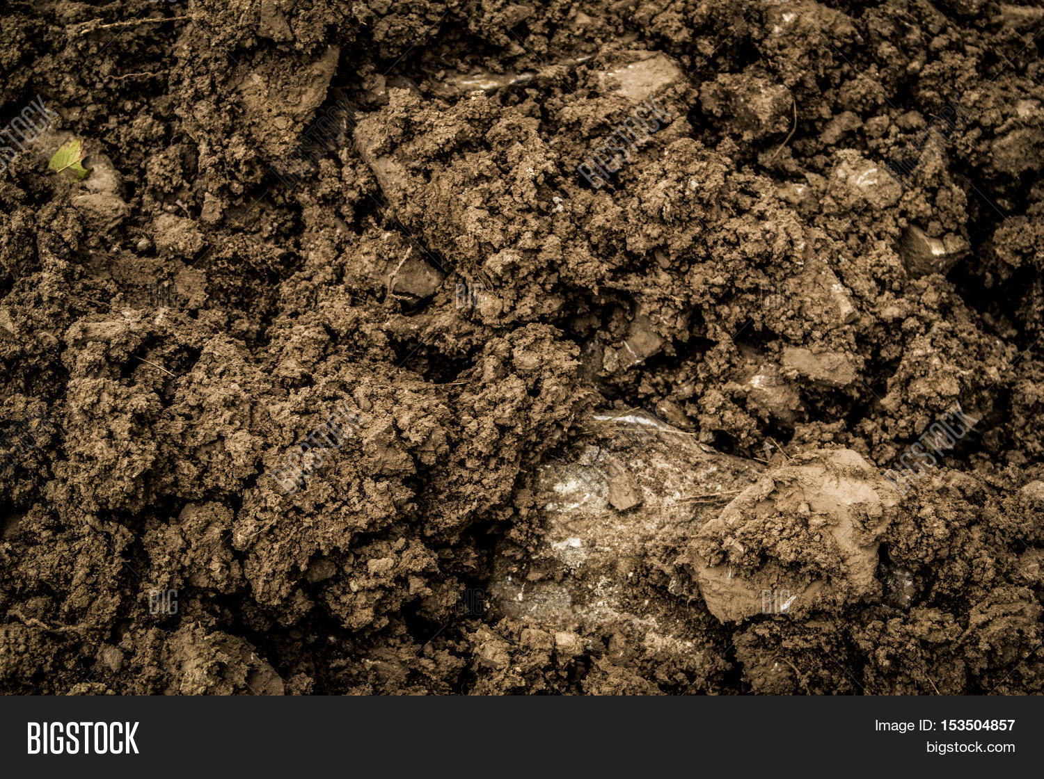 Soil, Ground, Wet Soil Image & Photo (Free Trial) | Bigstock