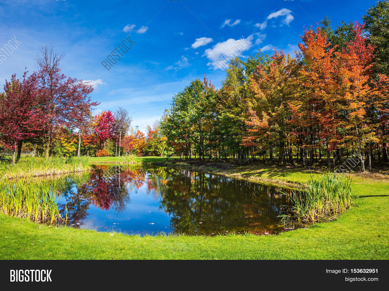 Charming Oval Pond Image & Photo (Free Trial) | Bigstock