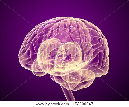 Human Brain X-ray Scan Image & Photo (Free Trial) | Bigstock