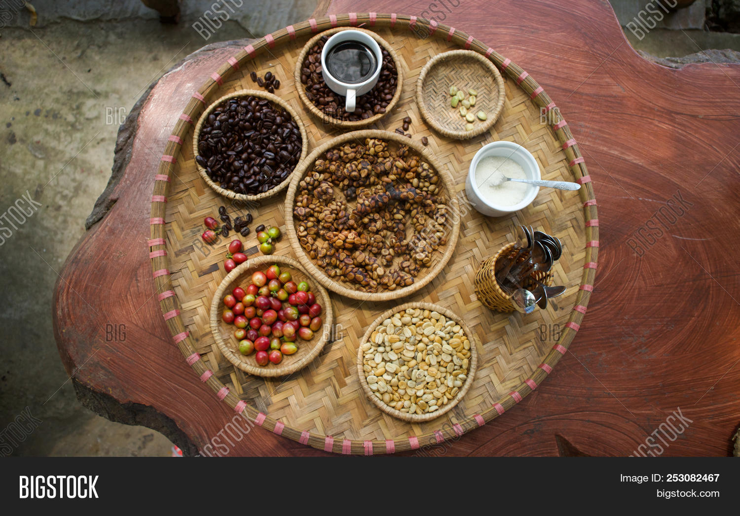Kopi Luwak Civet Image & Photo (Free Trial) | Bigstock