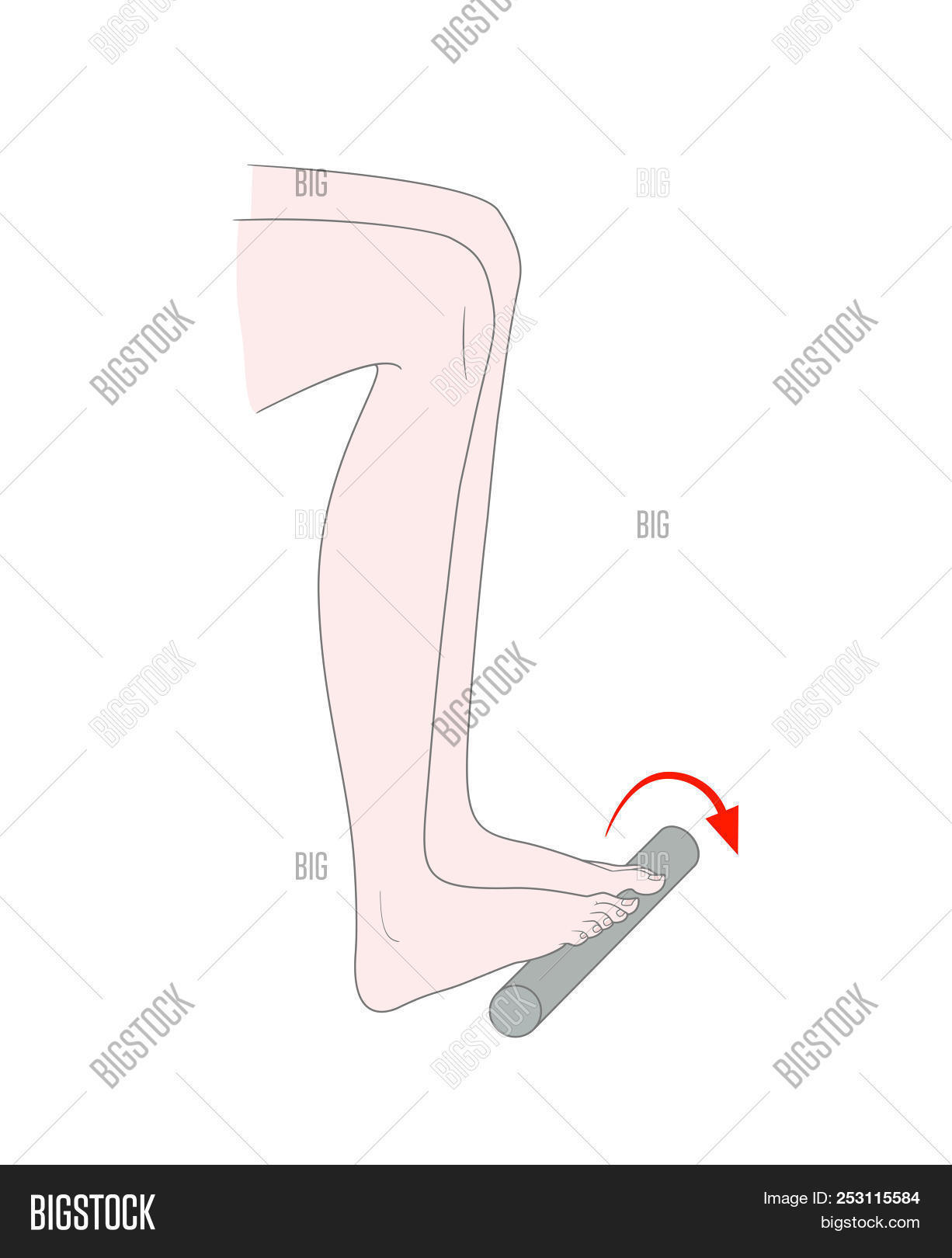 Lower Half Woman's Image & Photo (Free Trial) | Bigstock