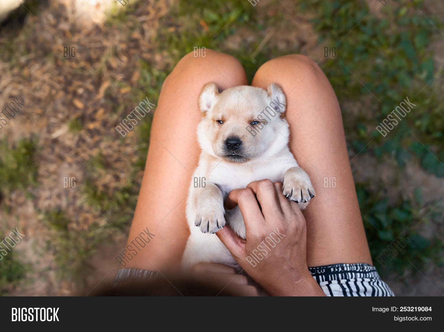 Young Cute Small Image & Photo (Free Trial) | Bigstock
