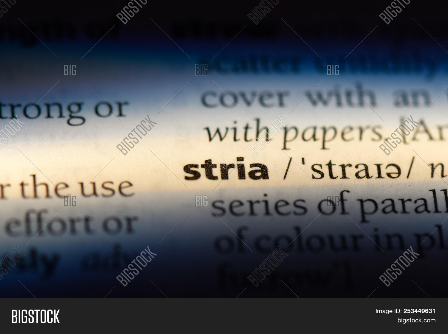 Stria Word Dictionary Image & Photo (Free Trial) | Bigstock