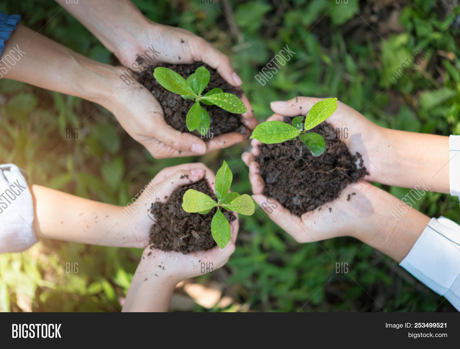 People Hand Group Image & Photo (Free Trial) | Bigstock
