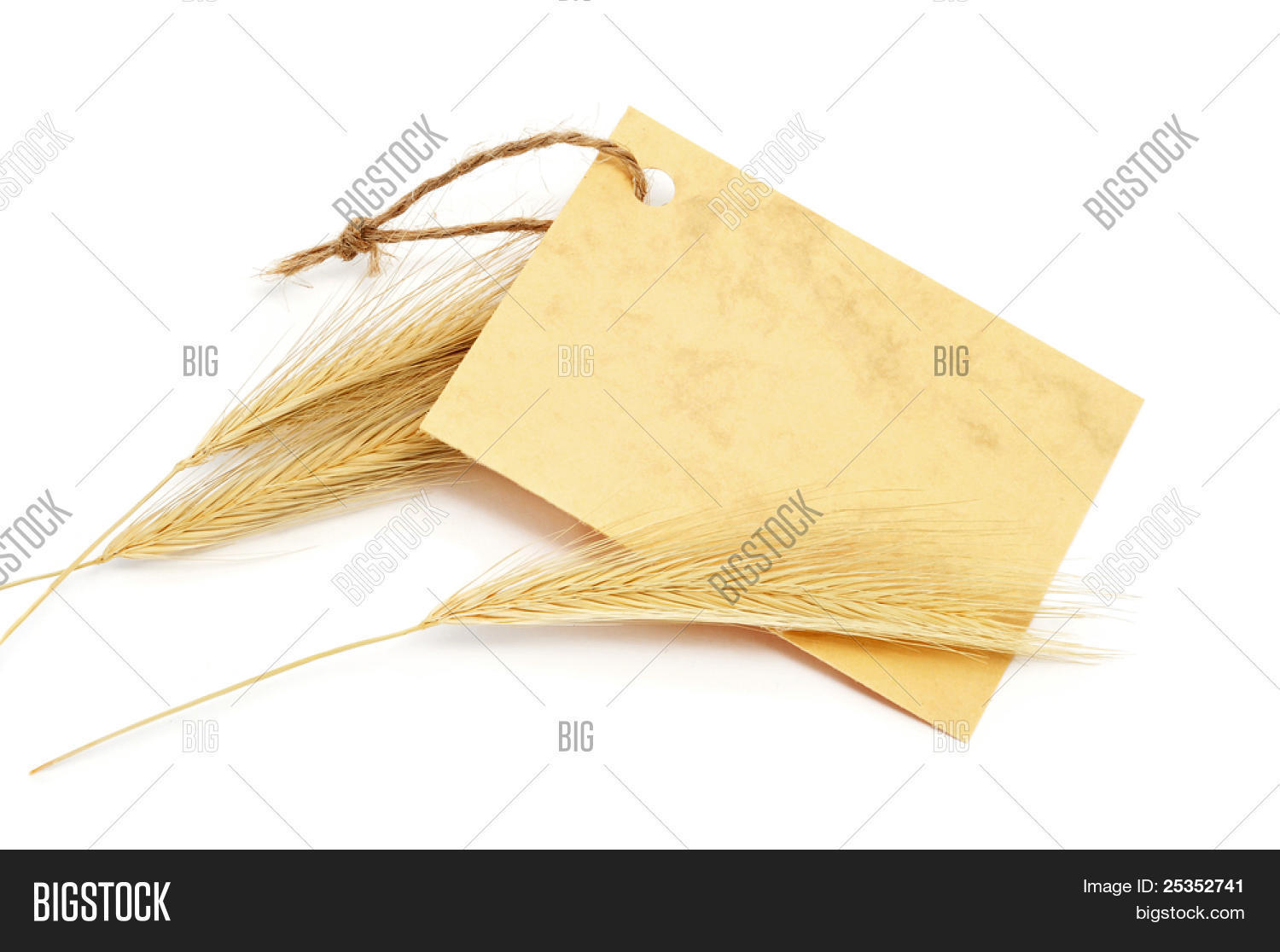 Blank Paper Label Image & Photo (Free Trial) | Bigstock