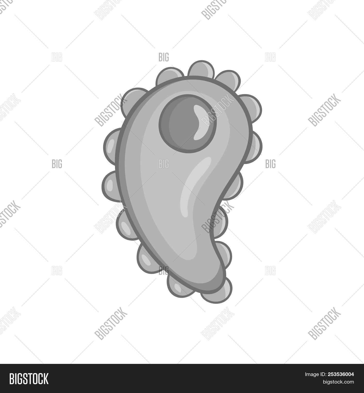 Cell Nucleus Icon Image & Photo (Free Trial) | Bigstock