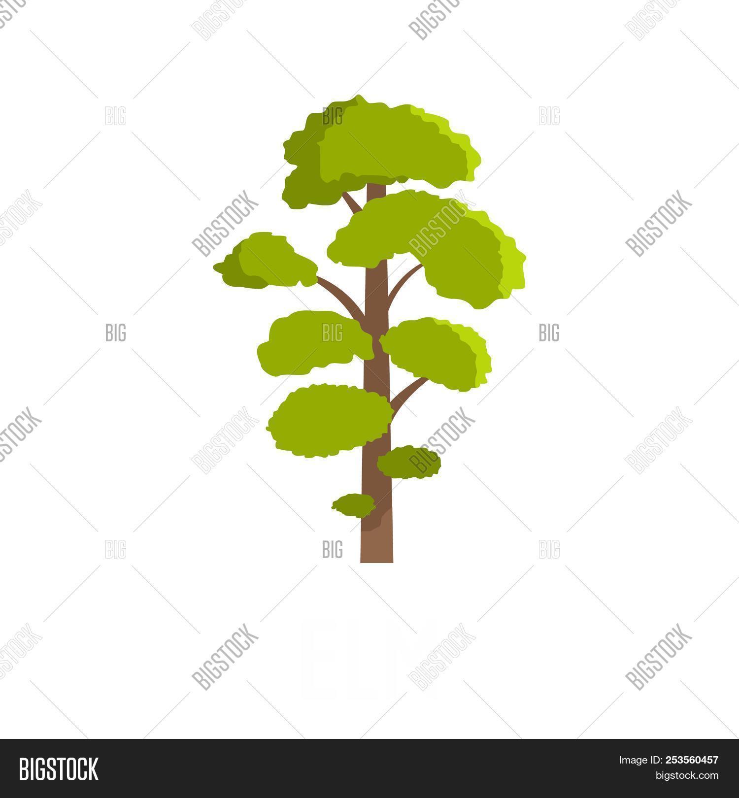 Elm Tree Icon. Flat Image & Photo (Free Trial) | Bigstock