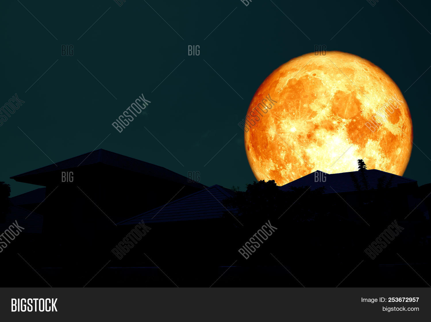 Full Blood Moon Back Image & Photo (Free Trial) | Bigstock