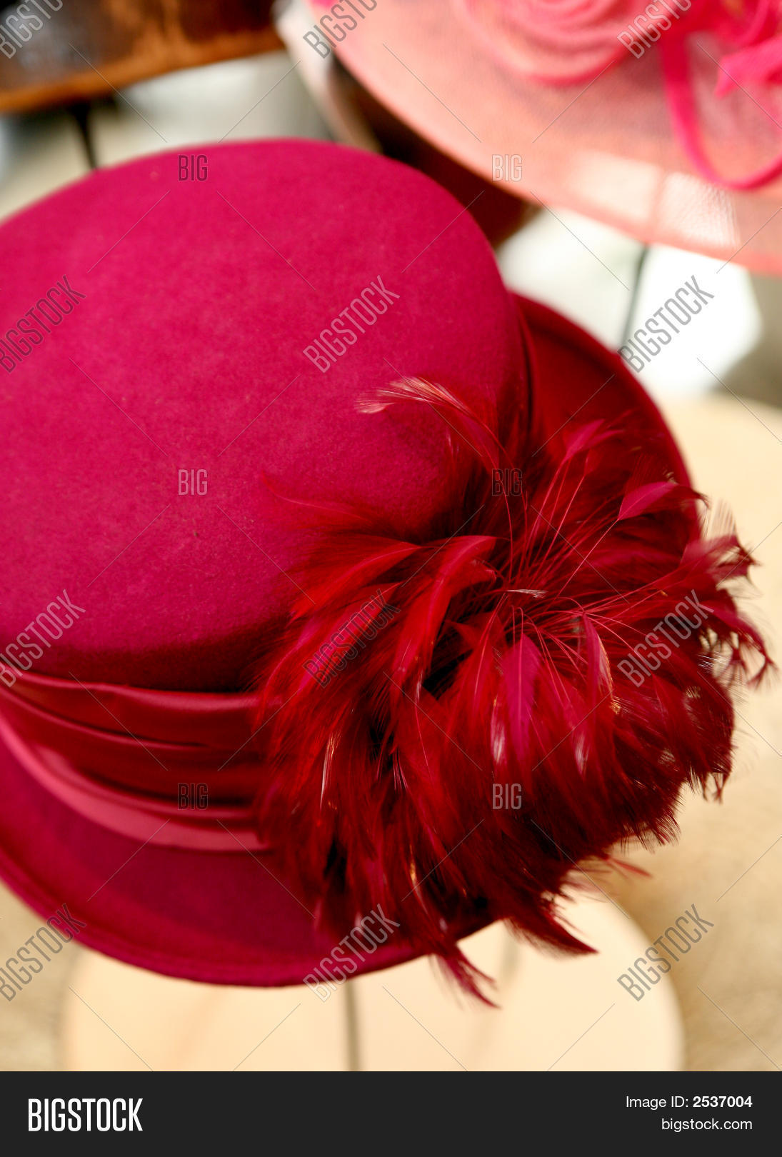 Magenta Hat Feathers Image & Photo (Free Trial) | Bigstock