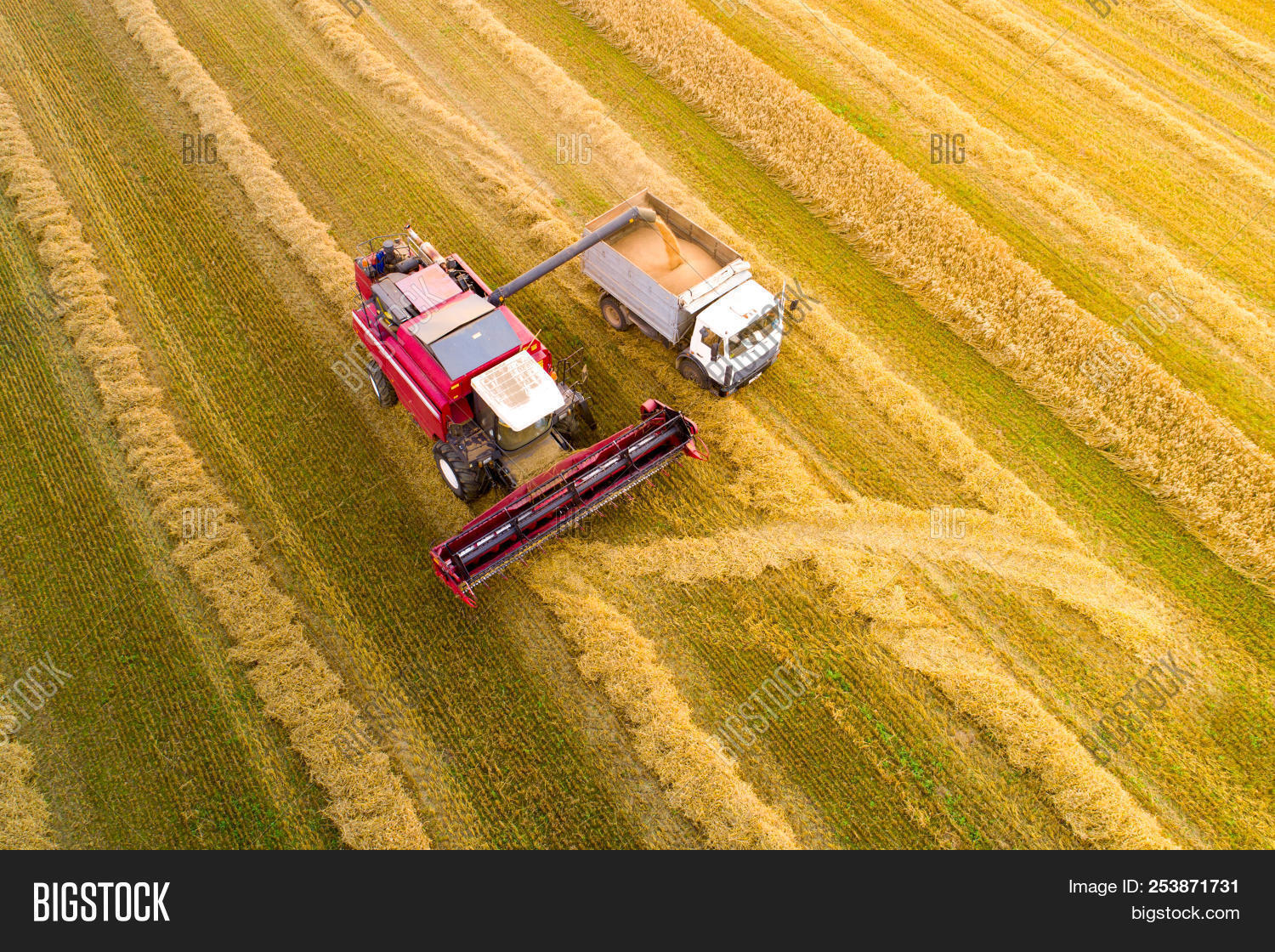 Harvesting. Combine Image & Photo (Free Trial) | Bigstock