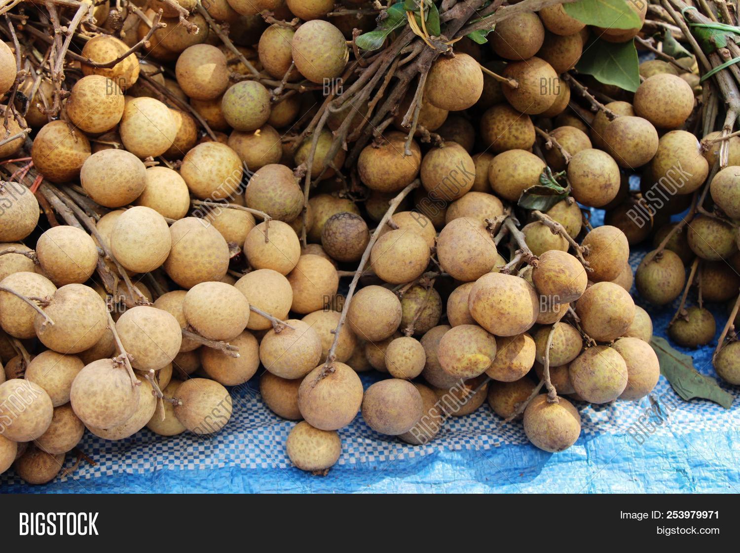 Longan Delicious ,thai Image & Photo (Free Trial) | Bigstock