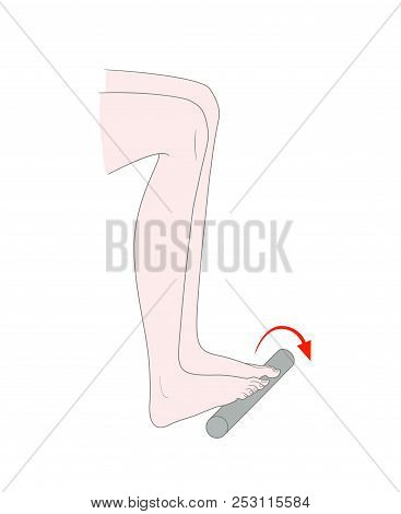 Lower Half Woman's Image & Photo (Free Trial) | Bigstock