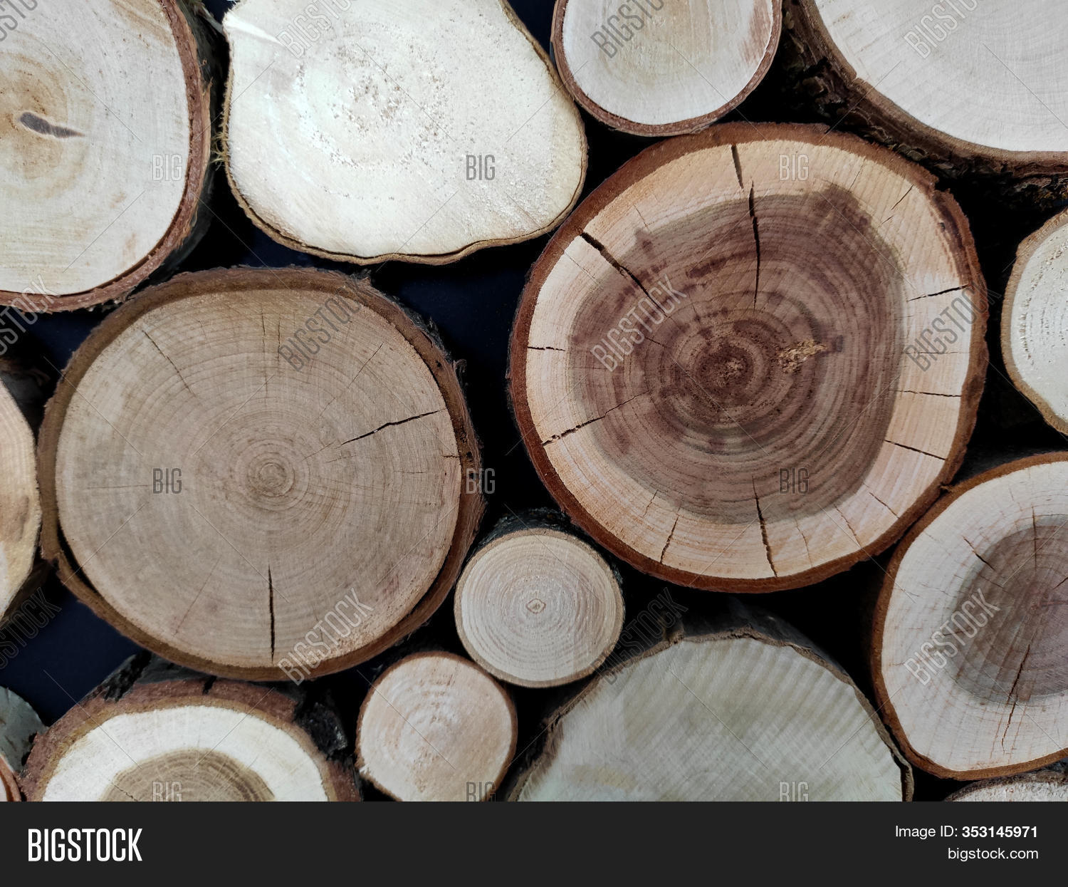 Tree Cut Background, Image & Photo (Free Trial) | Bigstock