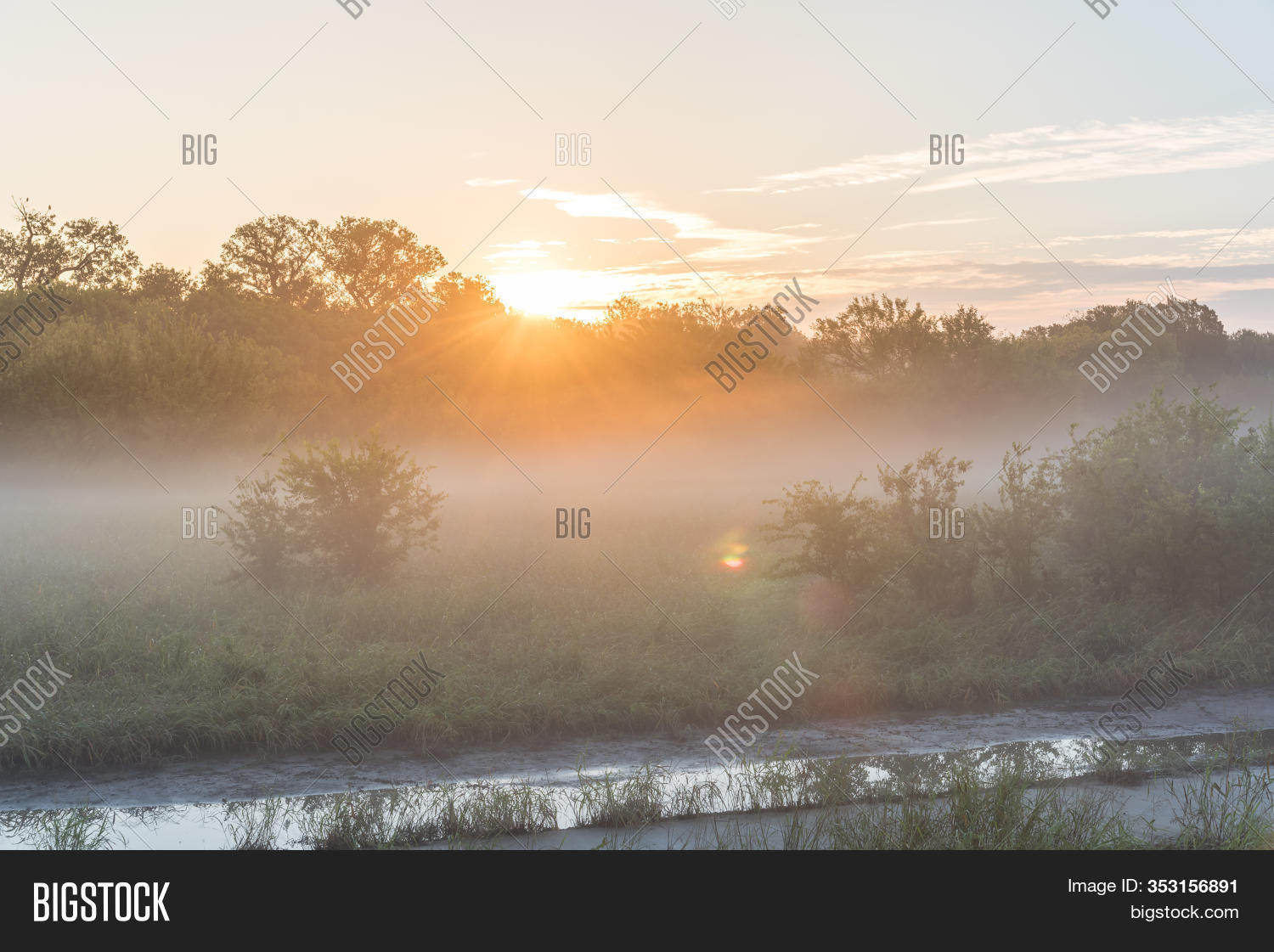 Wet Land Foggy Morning Image & Photo (Free Trial) | Bigstock