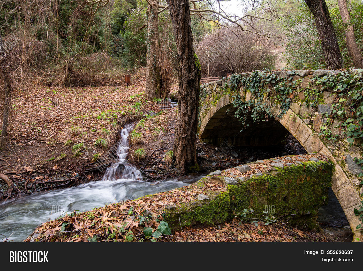 Beautiful Medieval Image & Photo (Free Trial) | Bigstock