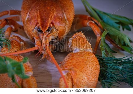 Big Red Crayfish Image & Photo (Free Trial) | Bigstock
