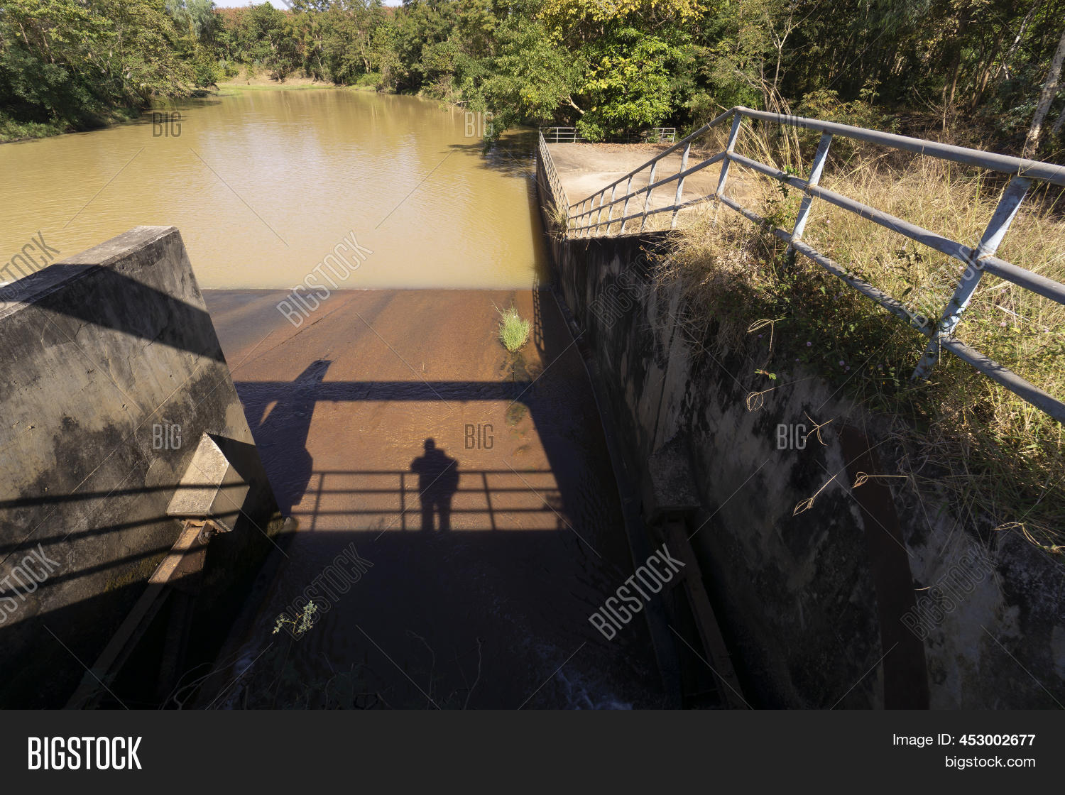 Imagen y foto Concrete New (prueba gratis) | Bigstock