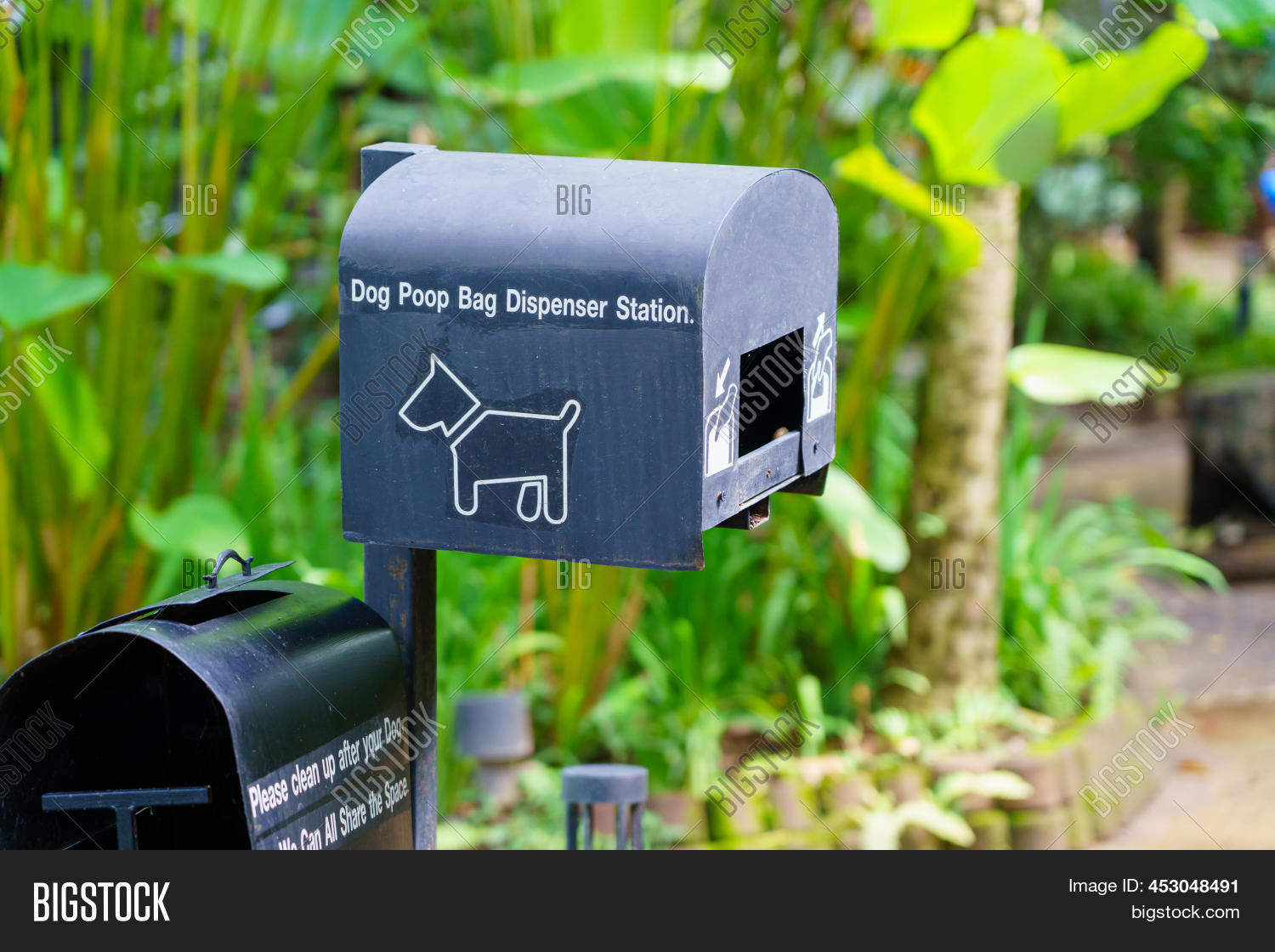 Dog Waste Station Image & Photo (Free Trial) | Bigstock