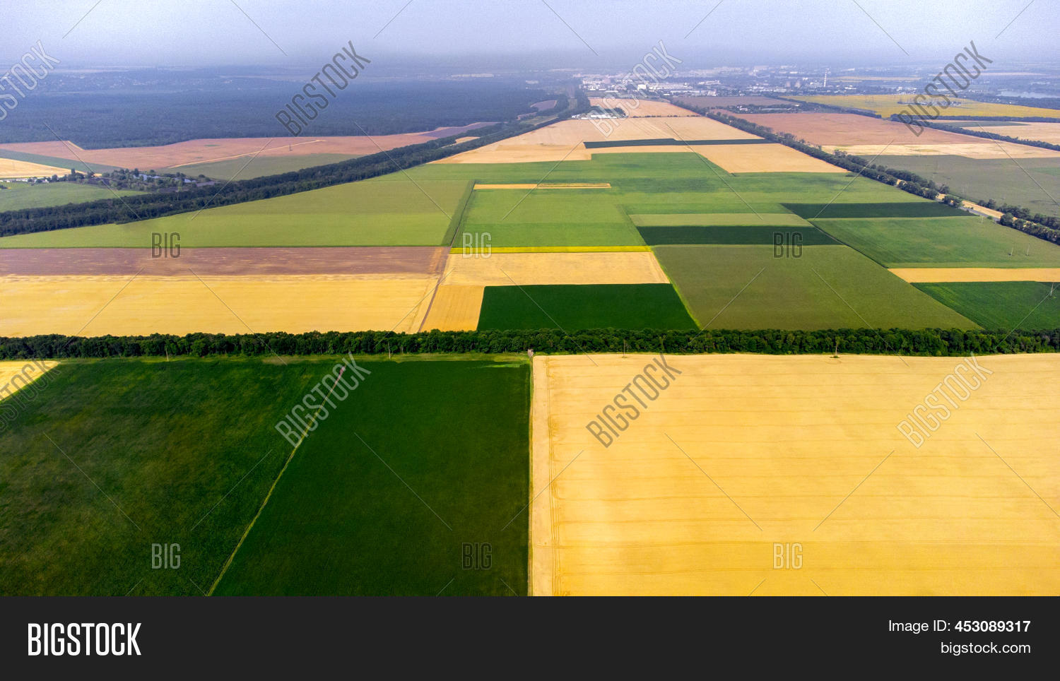 Panoramic Top View Image & Photo (Free Trial) | Bigstock