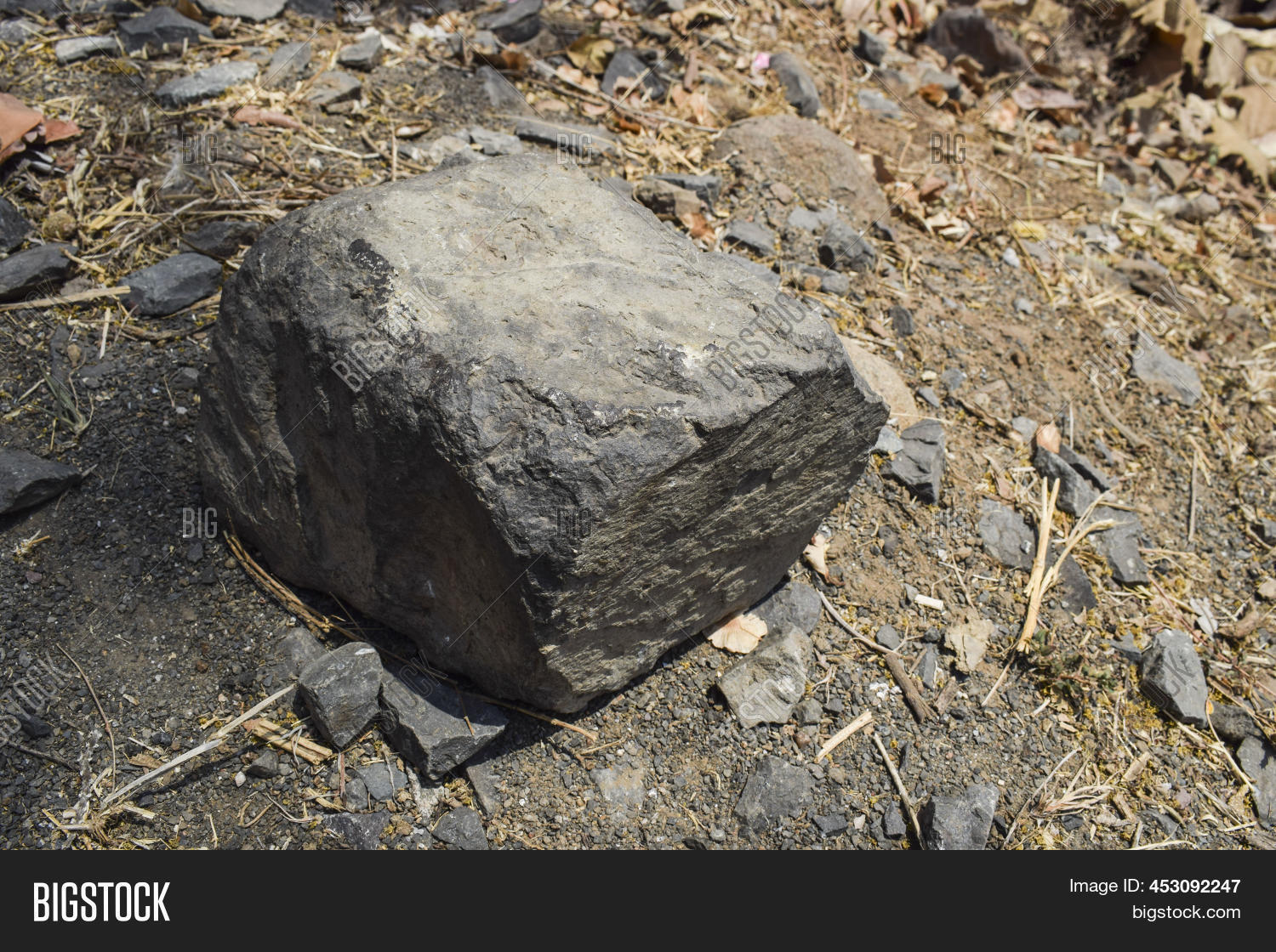 Big Rock Forest India Image & Photo (Free Trial) | Bigstock