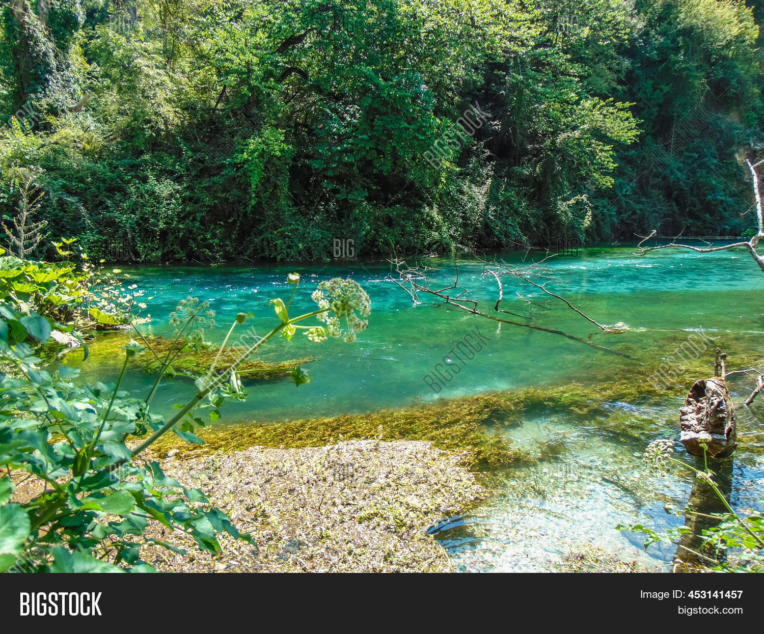 Blue Eye Spring (syri Image & Photo (Free Trial) | Bigstock