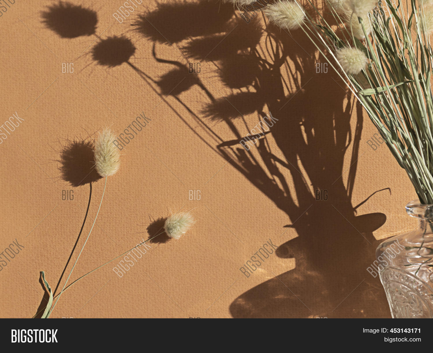 Fluffy Dry Lagurus Image & Photo (Free Trial) | Bigstock